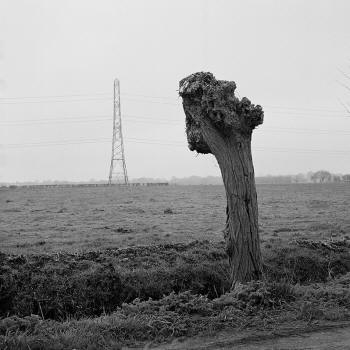 art cornwall webprojects